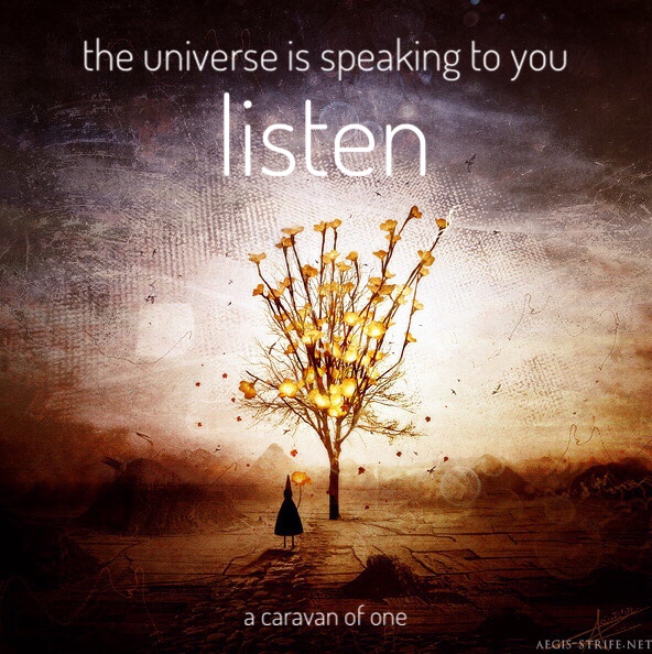 Unexpected Wisdom - A Caravan of One