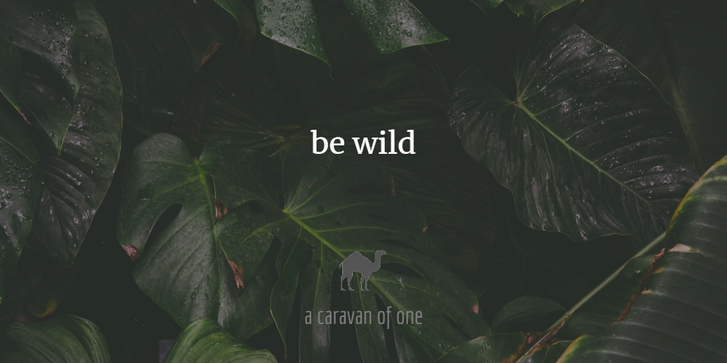 so close i can taste - A Caravan of One